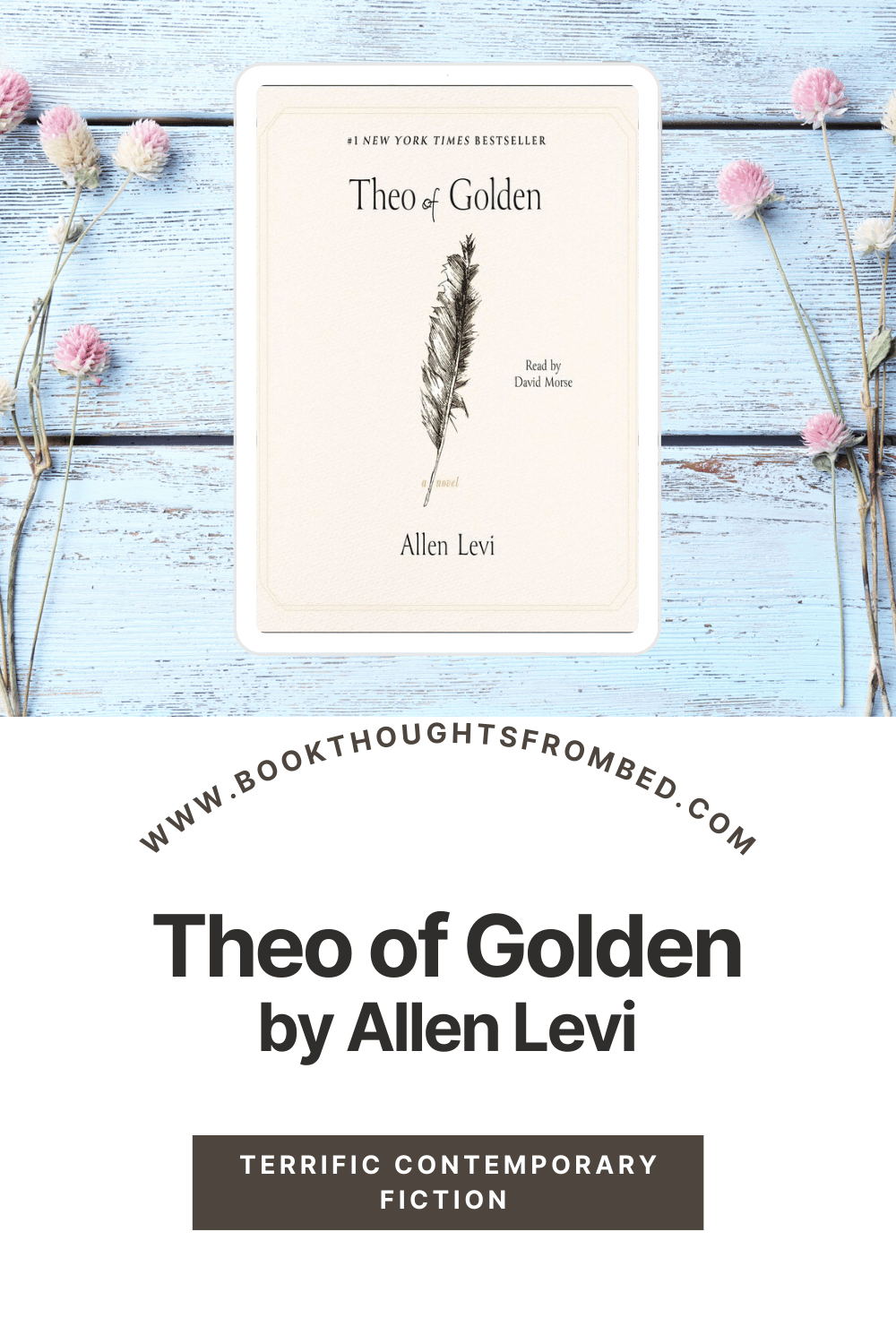Audio Book Review: Theo of Golden by Allen Levi, Narrated by David ...